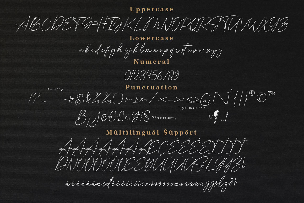 Hellena Handwritten Scrip Font, Fonts | GraphicRiver